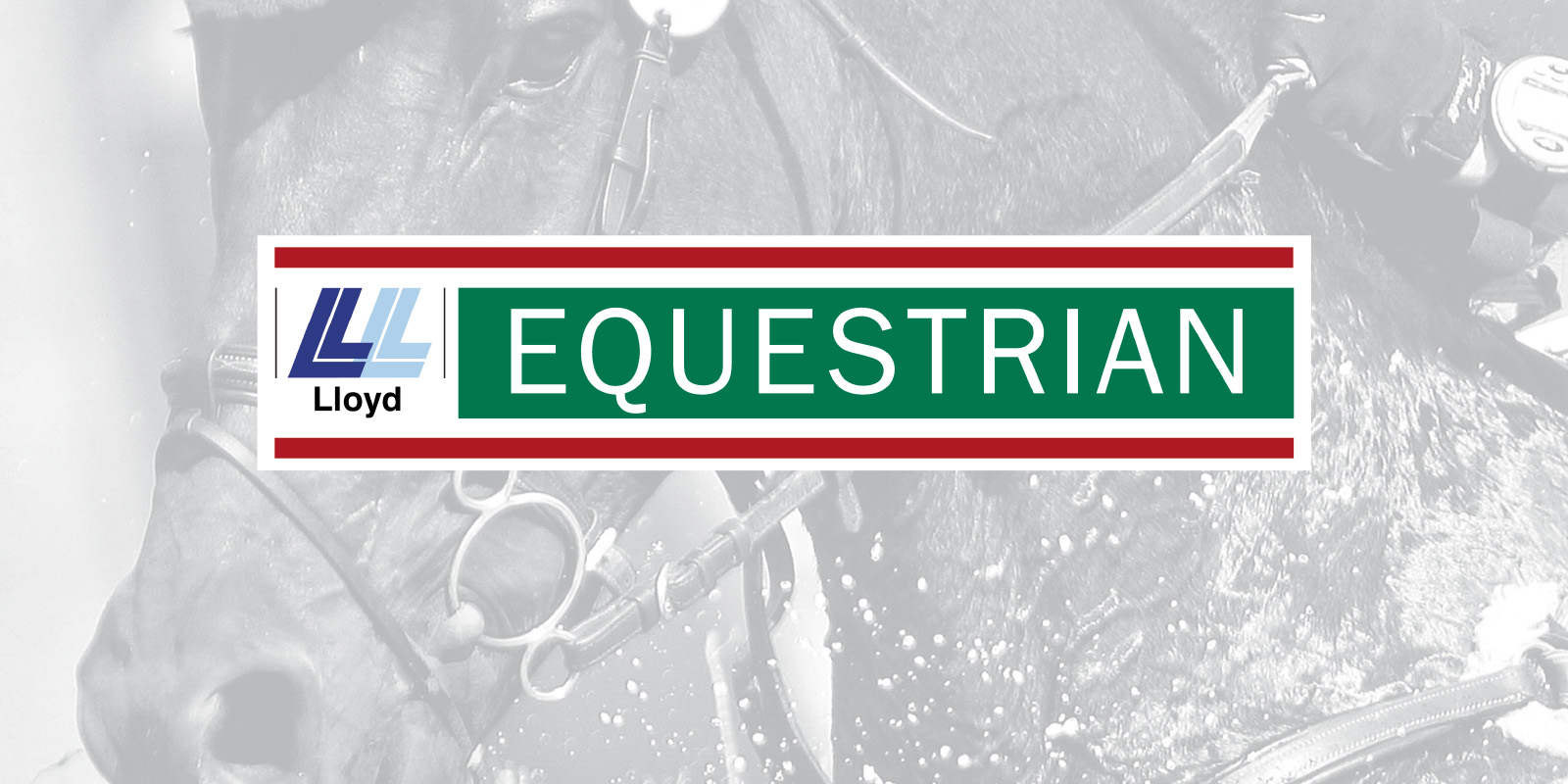 Lloyd Equestrian Sale Event - Lloyd Ltd