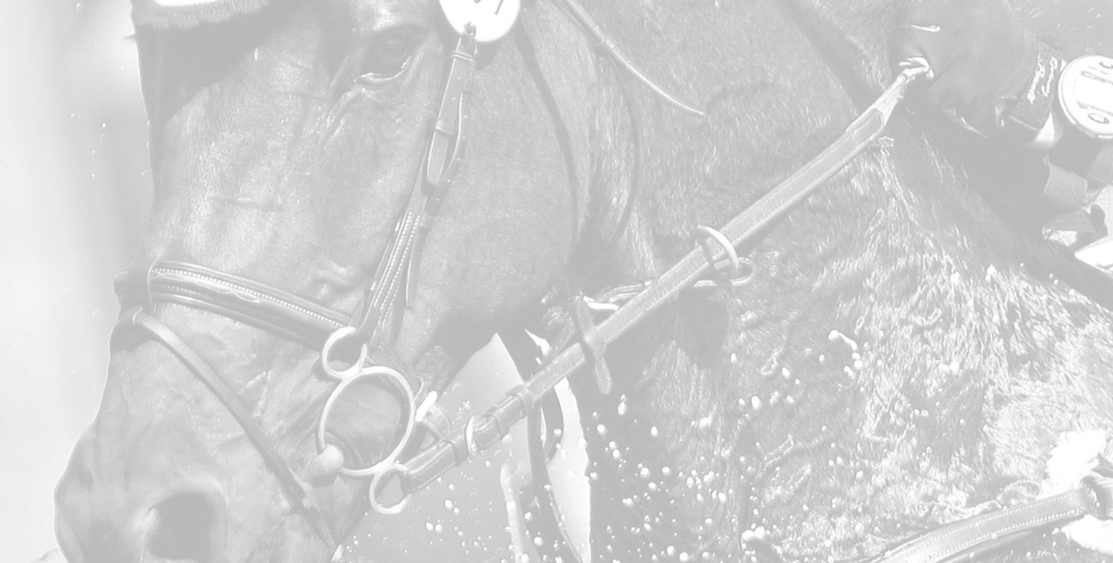 New opening hours for Lloyd Equestrian - Lloyd Ltd