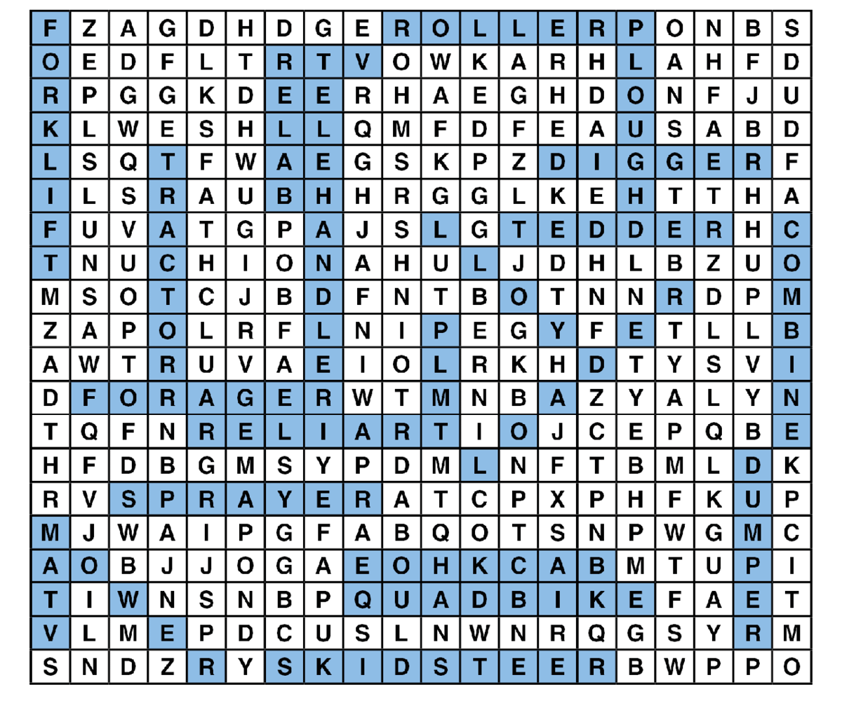 Puzzles - Lloyd Ltd